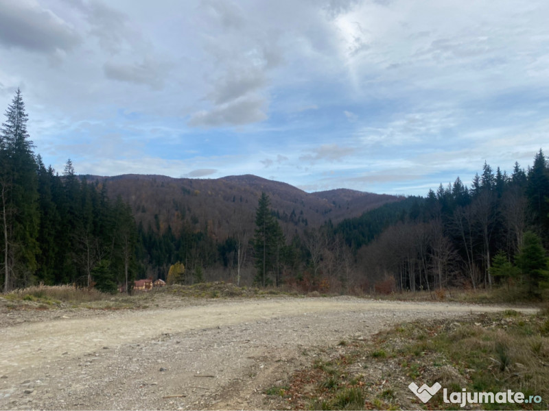Teren intravilan Sat cheia 1000mp, 20.000 eur - Lajumate.ro