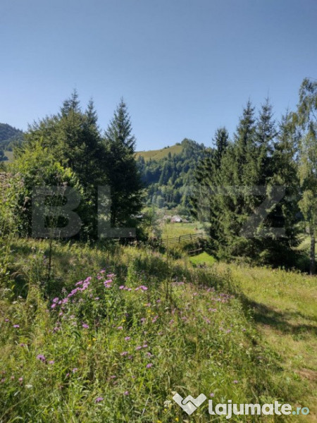 Teren 30 ari cu padure si faneata in Lunca Ilvei, 18.000 eur - Lajumate.ro