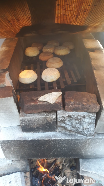 Fasole albă, fasole roșie din Ucraina