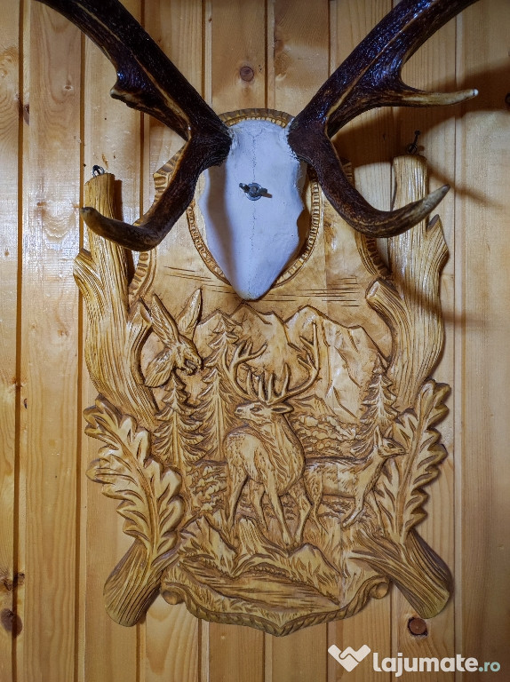 Panoplie coarne cerb