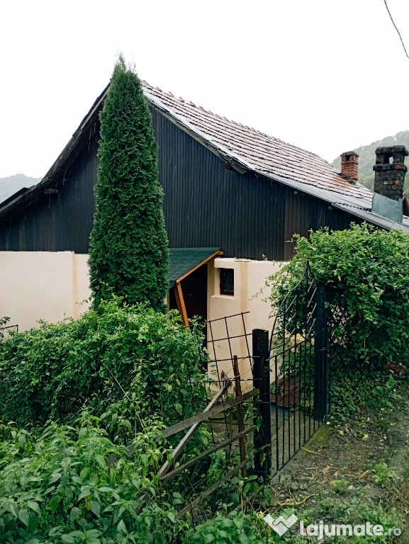 Anunturi Gratuite Valea Lupsii