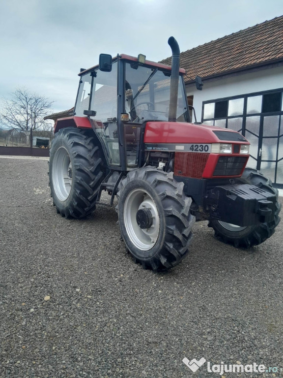 Catelusi Pinscher Pitic