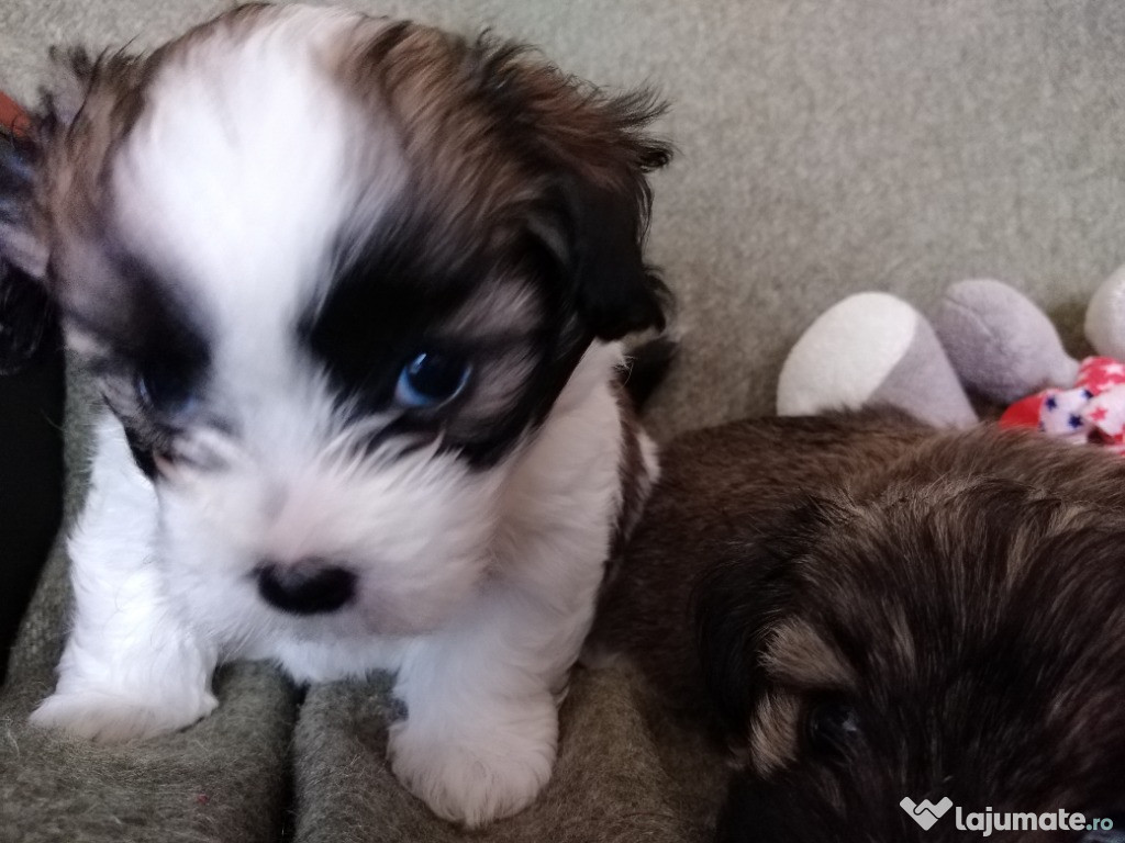 Cilindru hidraulic direcție