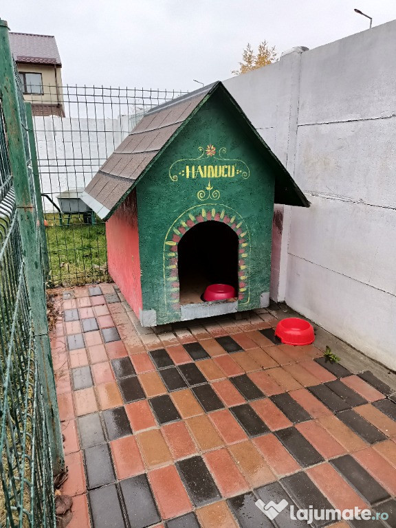 Cușcă câine talie mare