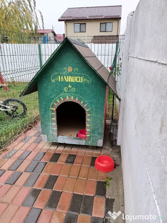 Cușcă câine talie mare