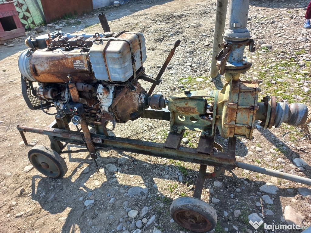 Vând slănină afumată de porc bazna