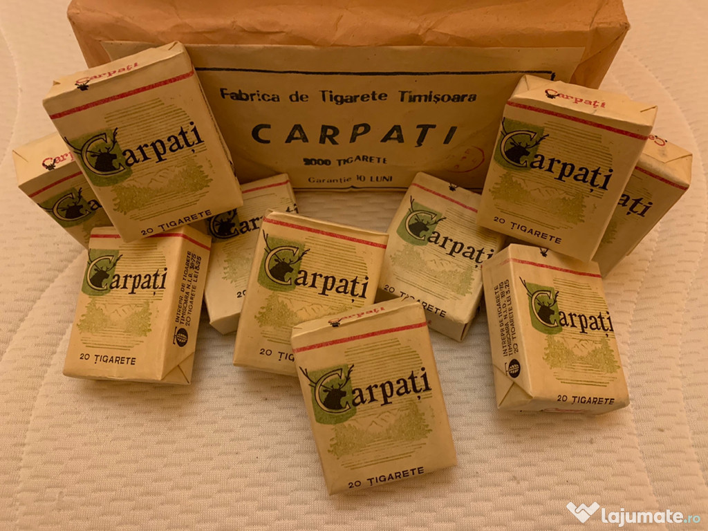 Casa individuala Sura Mare