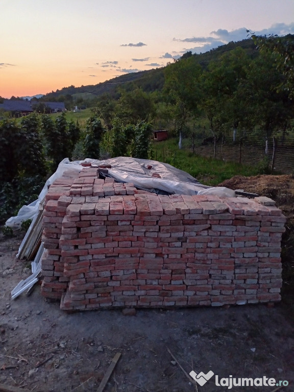 Anunturi Gratuite ibanesti-padure