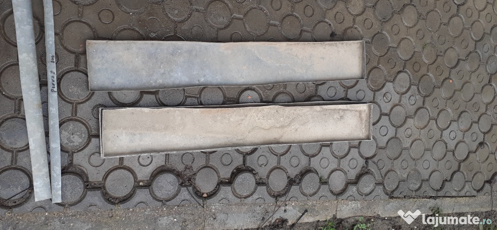 Butași viță de vie si pomi fructiferi