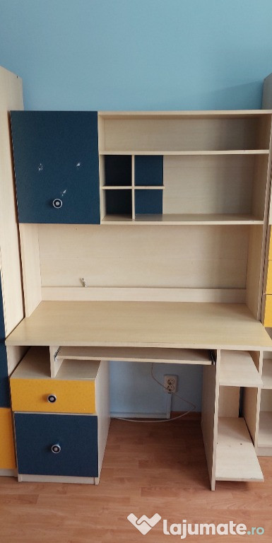 Biblioteca in stil vanatoresc cu lemn sculptat