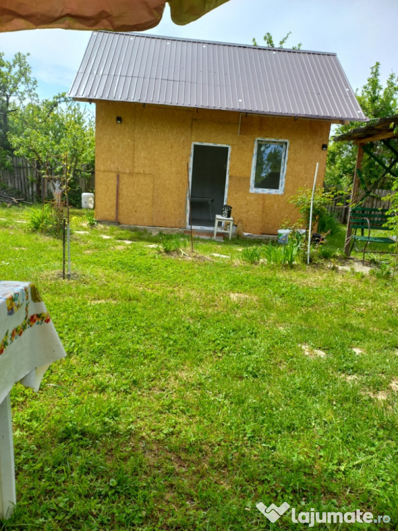 Anunturi Gratuite BOLDESTI GRADISTEA