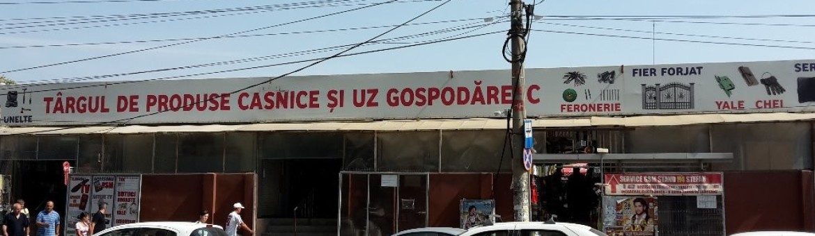 Anunțurile utilizatorului razvan georgescu - Lajumate.ro